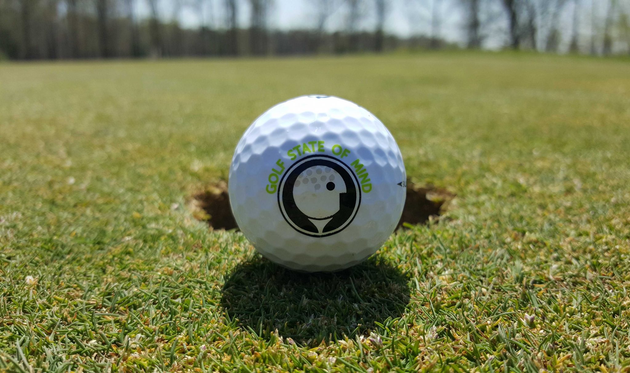 Year End Evaluation And Goal Setting For Golf Worksheet
